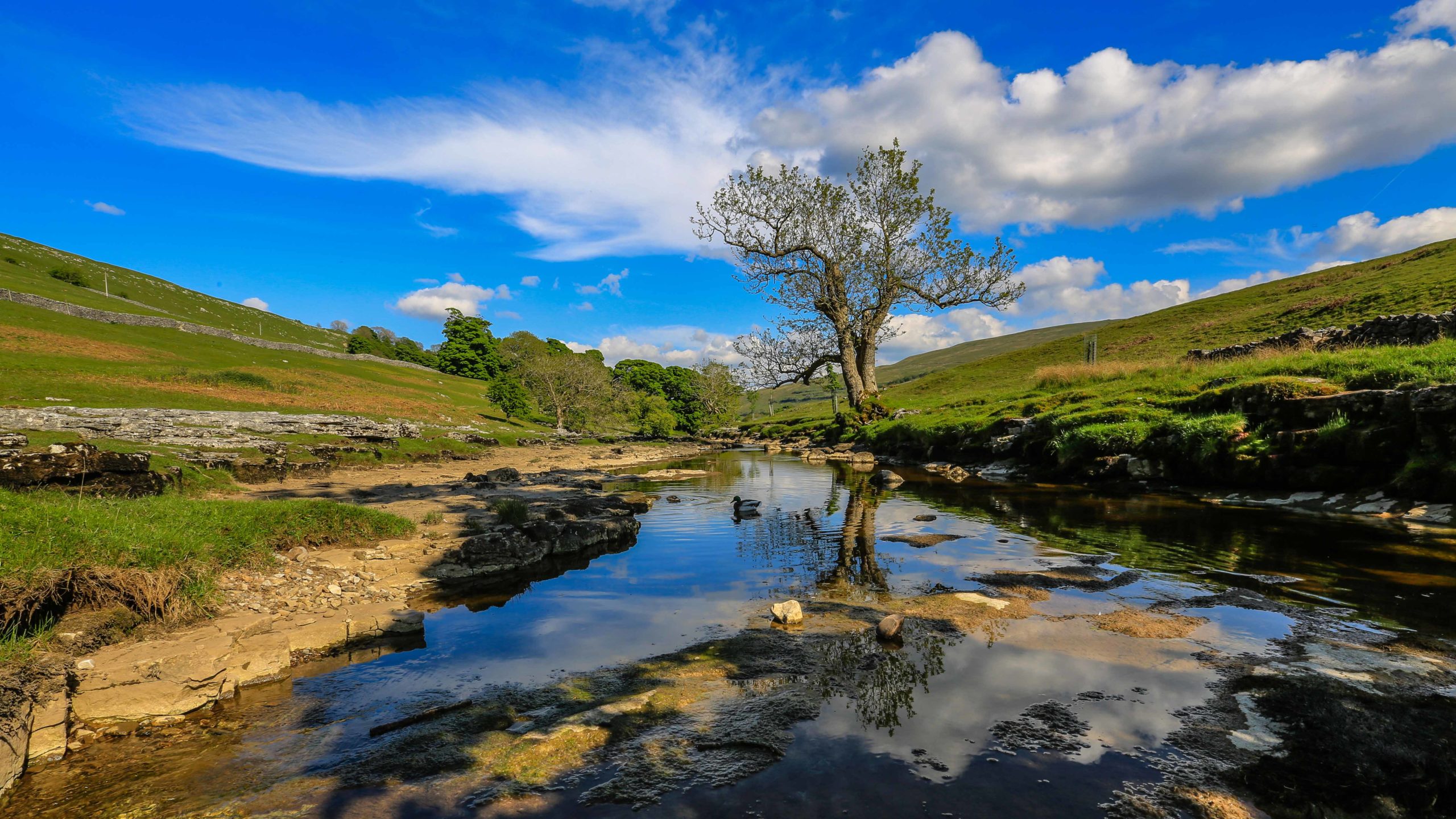 Celebrating the amazing rivers of North Yorkshire!! - North and East ...