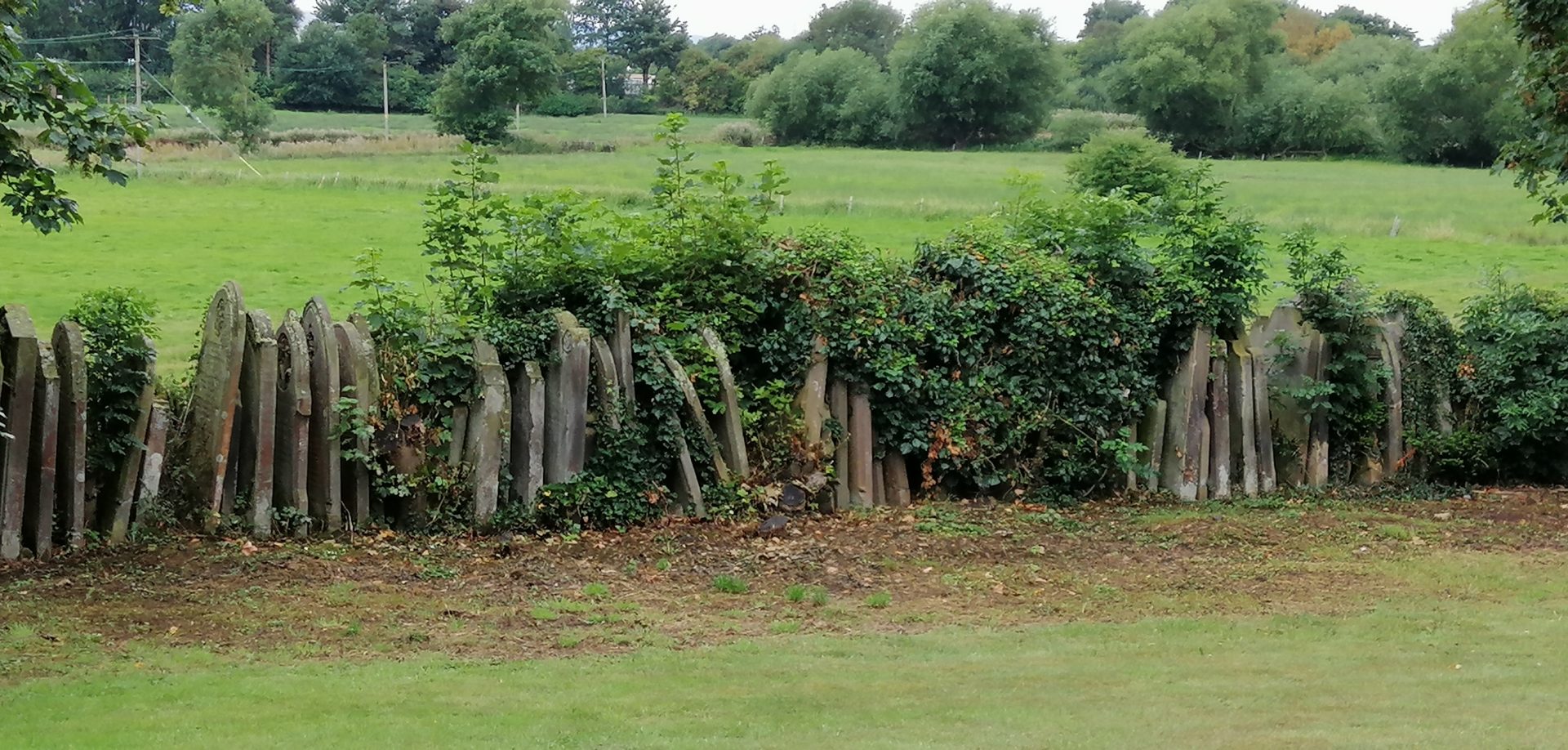 CPRE North and East Yorkshire's Best Churchyard 2022